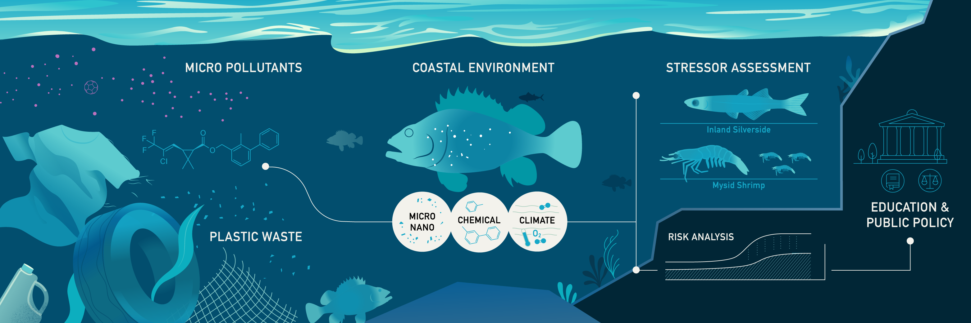 Ecotox and Environmental Stress Lab – Susanne Brander, Ph.D.